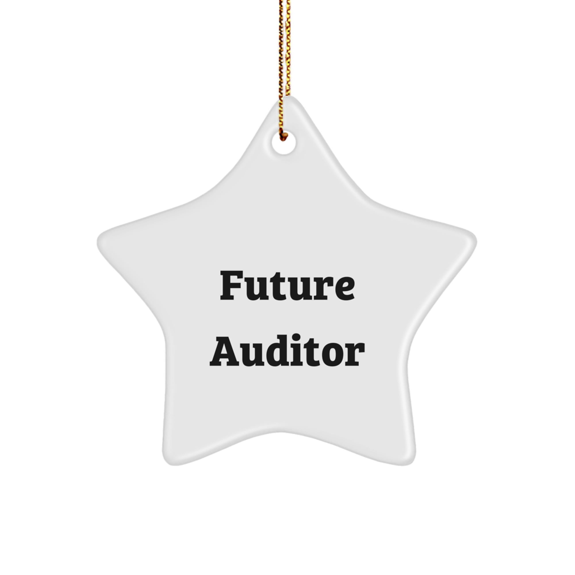 Funny Auditor Gifts from Friends to Future Auditors - Star Ornament for ...