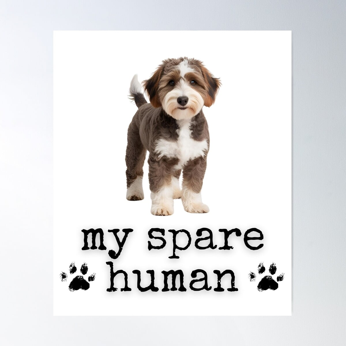 Funny Aussiedoodle "My Spare Human" Design Â€“ Cute Dog Lover Gift ...