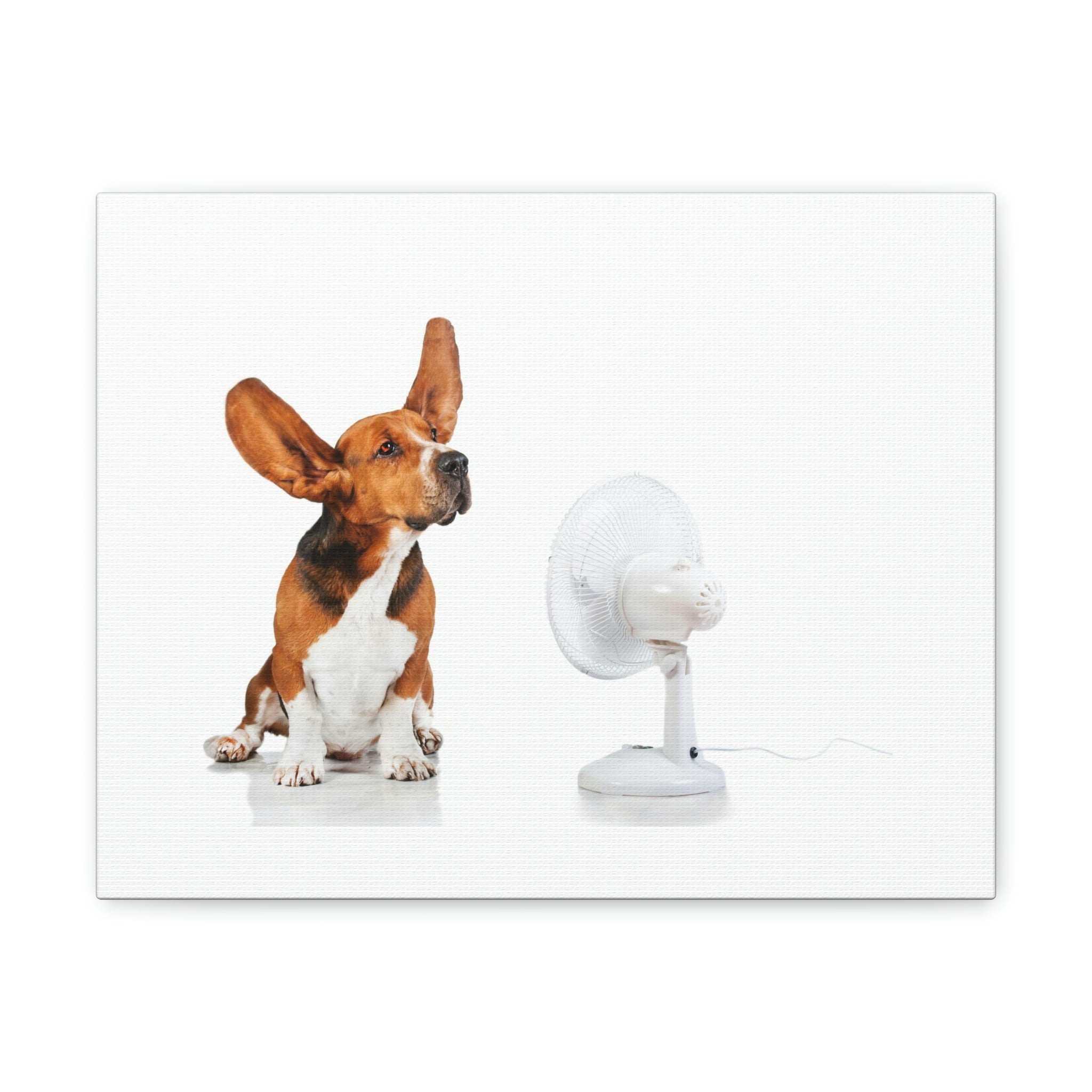 Funny Basset Hound With Flying Ear Print Animal Wall Art Wildlife ...