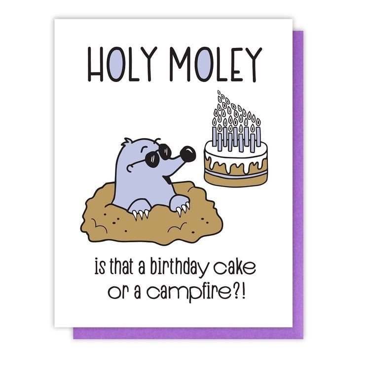 Funny Birthday Card – “Holy Moley” Birthday Cake or Campfire Design ...