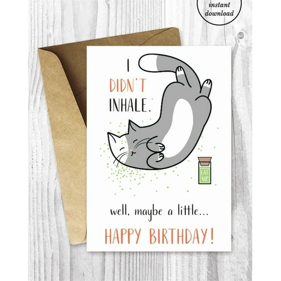 Funny Birthday Card for Cat Lovers – “I Didn’t Inhale” Cat Design – Envelope Included, Blank ...