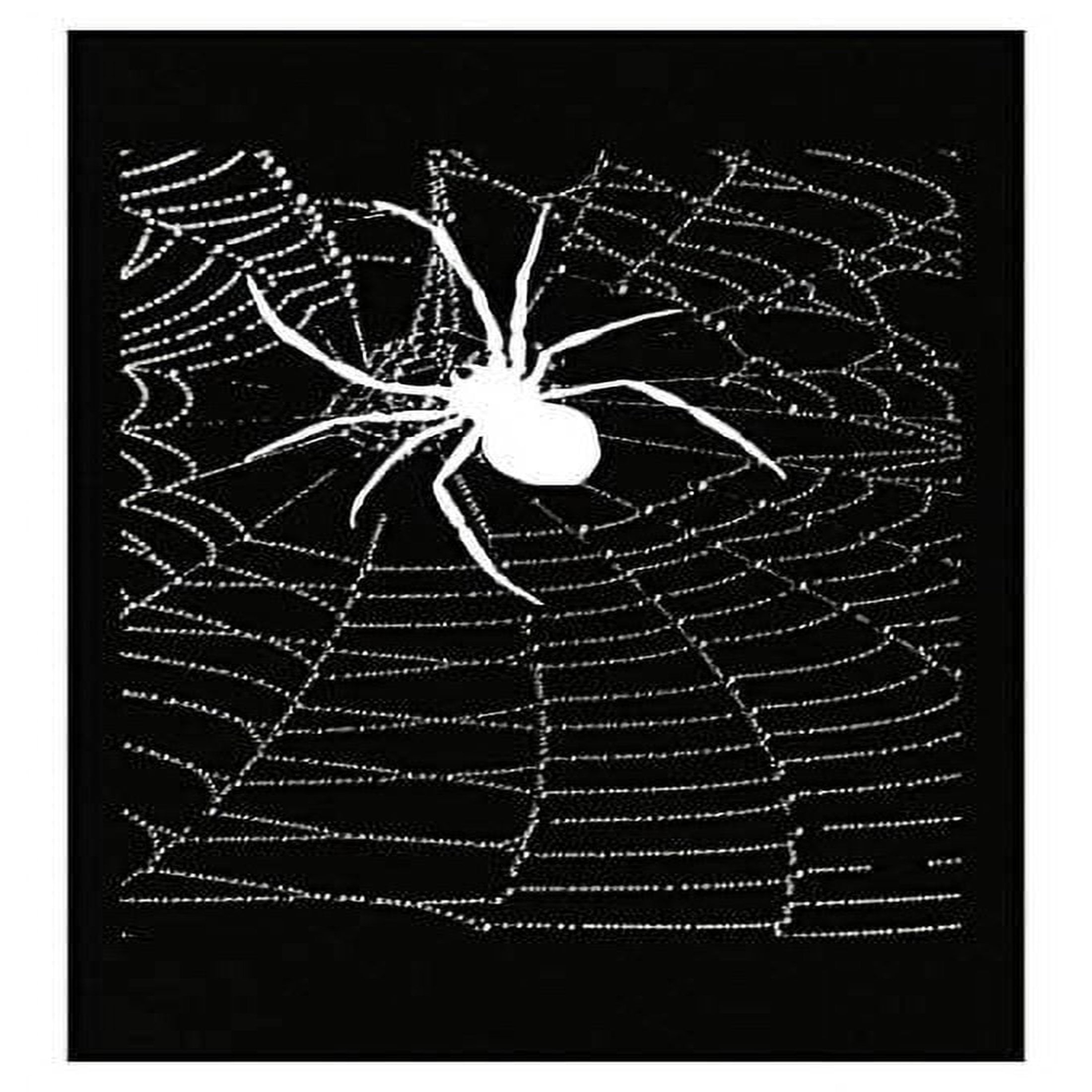 Funny Black Widow Spider Web Poster - Wall Decor Gift - Walmart.com