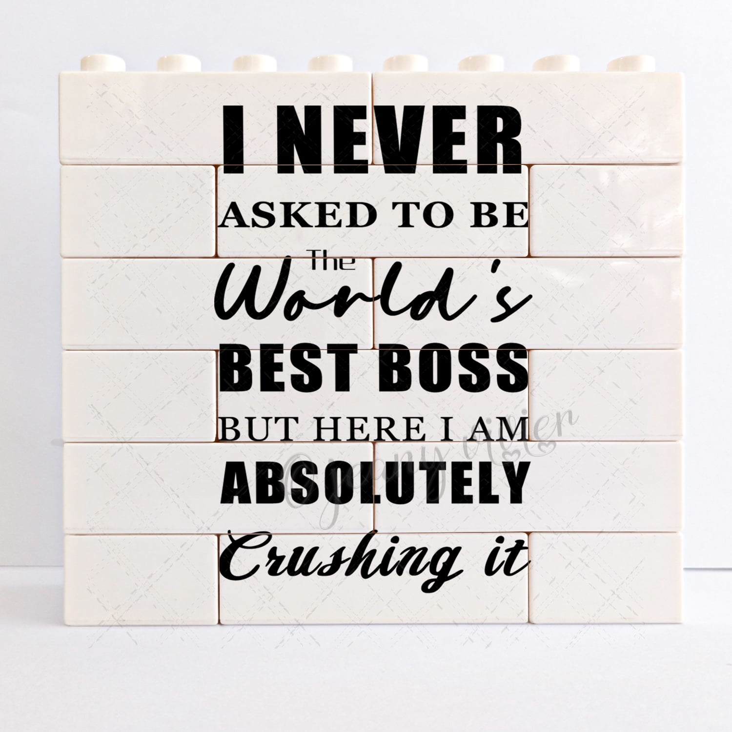 Funny Boss Novelty Decorative Sign/Plaque, I Never Asked to Be the ...