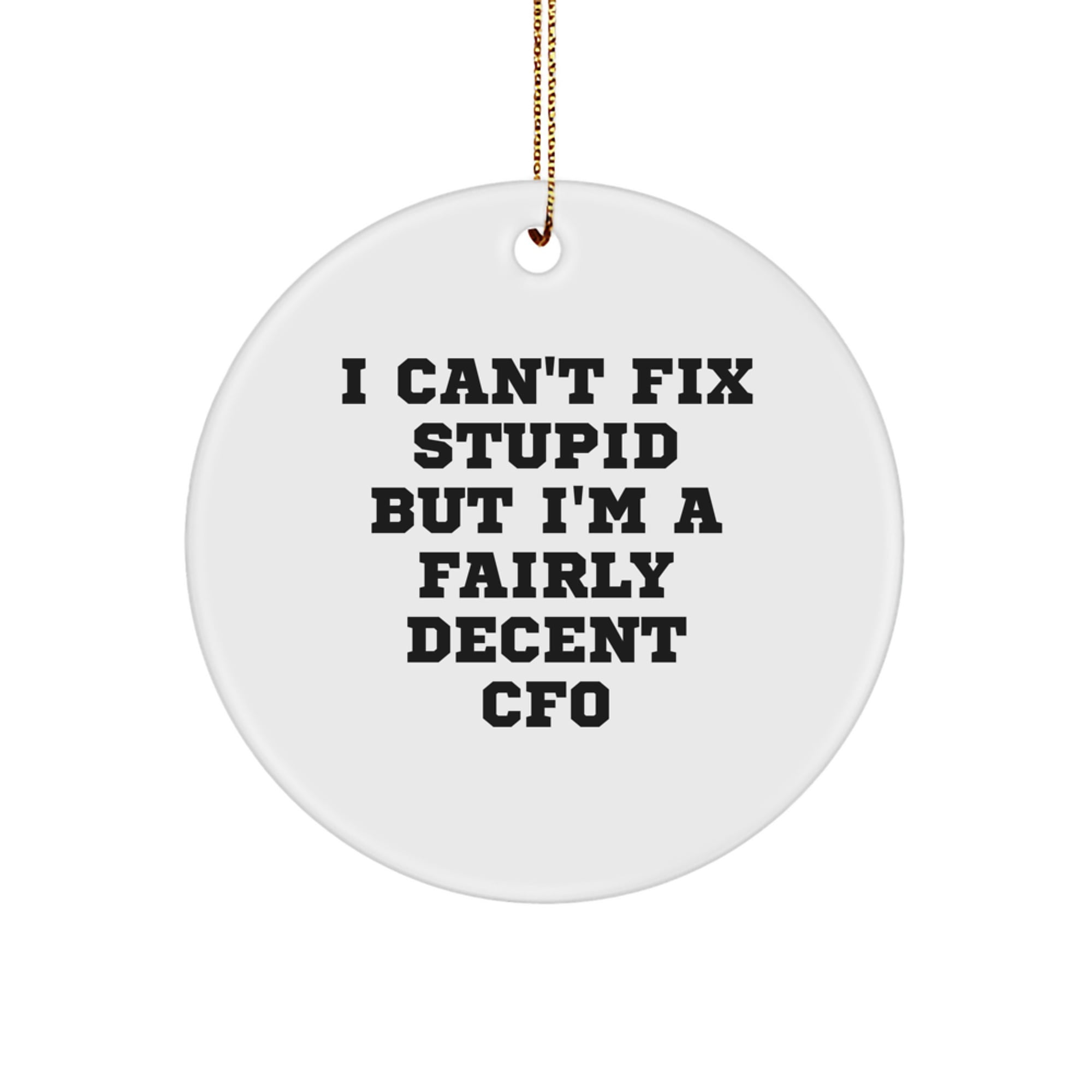 Funny CFO Gifts, 'I Can't Fix Stupid But I'm A Fairly Decent CFO ...