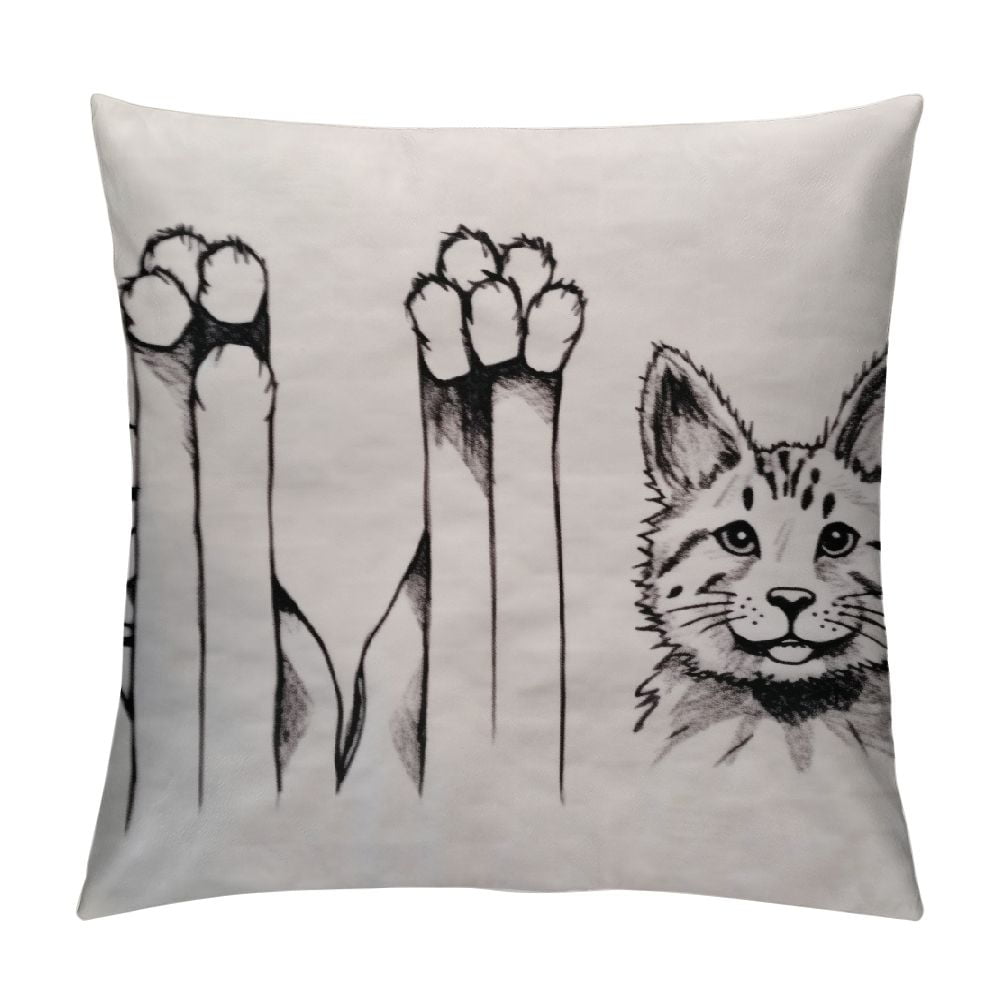 Funny Ca Pillow Covers , Cat Gifts for Cat Lovers, Crazy Cat Lady Gifts ...