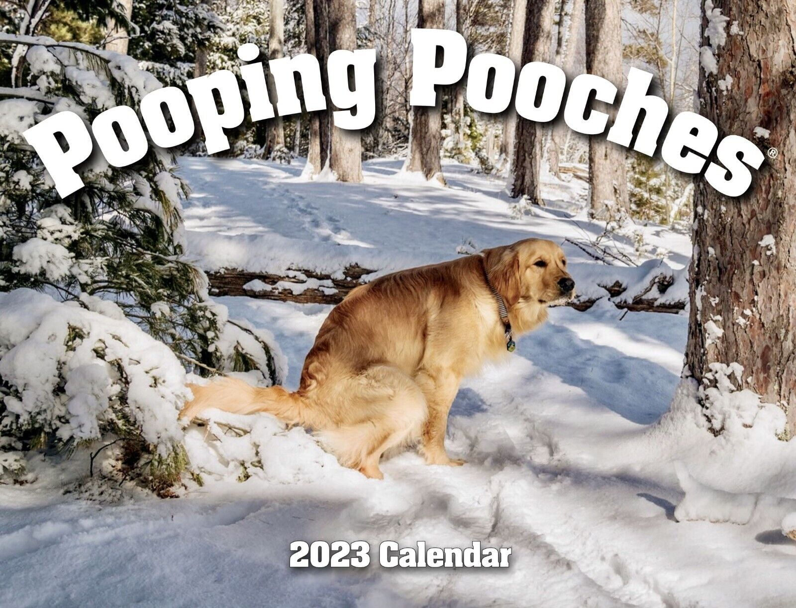 Pooping Pooches White Elephant Gag Gift Wall Calendar - Walmart.com