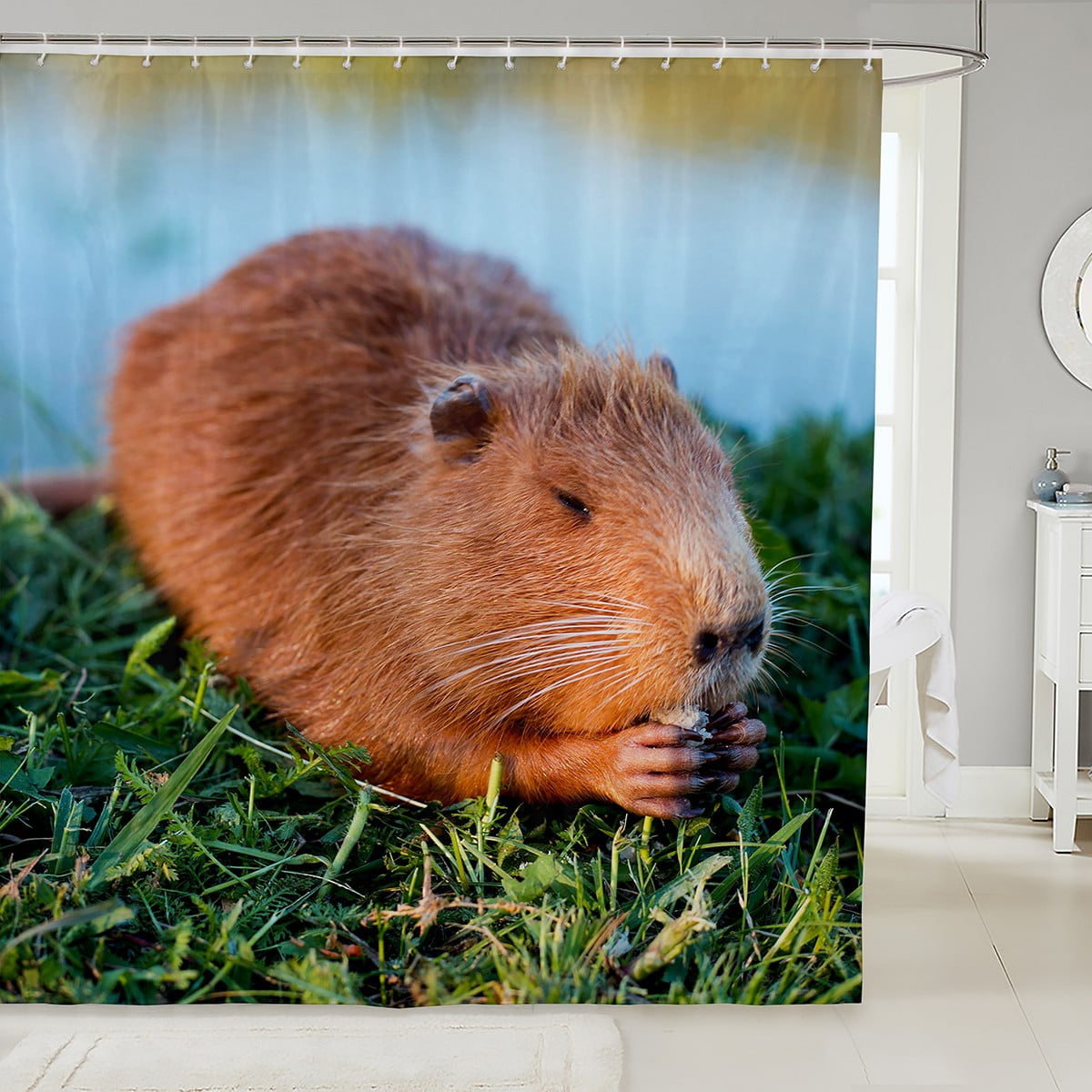 Funny Capybara Shower Curtain Cute Rodent Pet Animal Bathroom ...