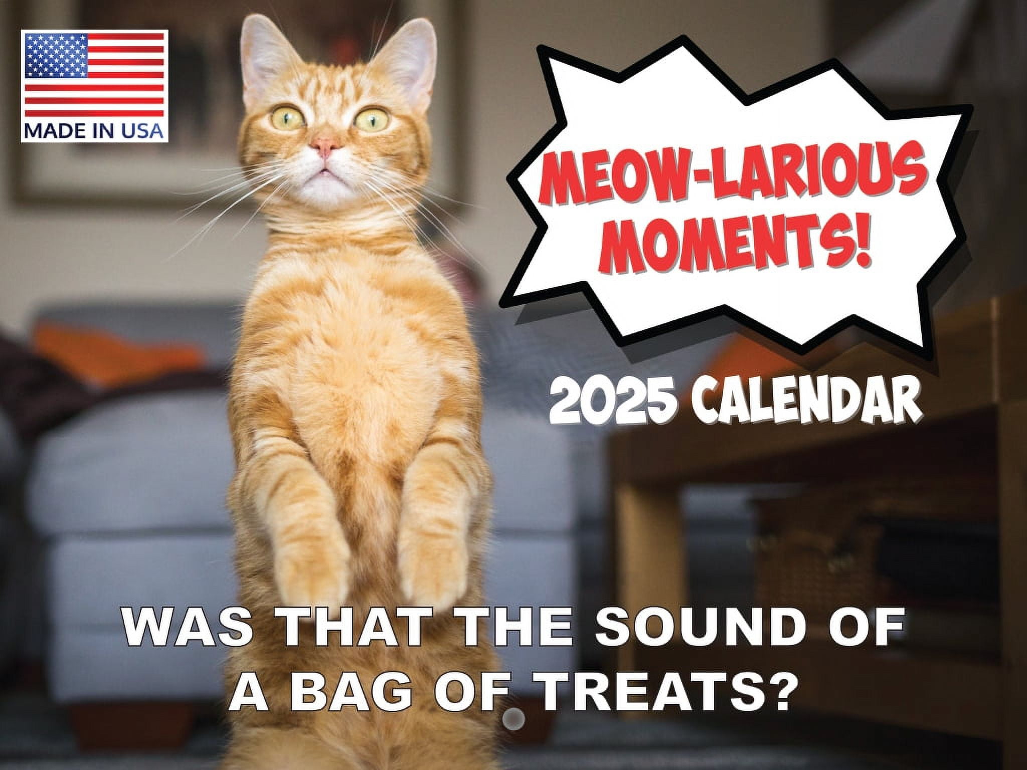 Funny Cat Calendar 2025 Meowlarious Cats Monthly Wall Calender 12 Month ...