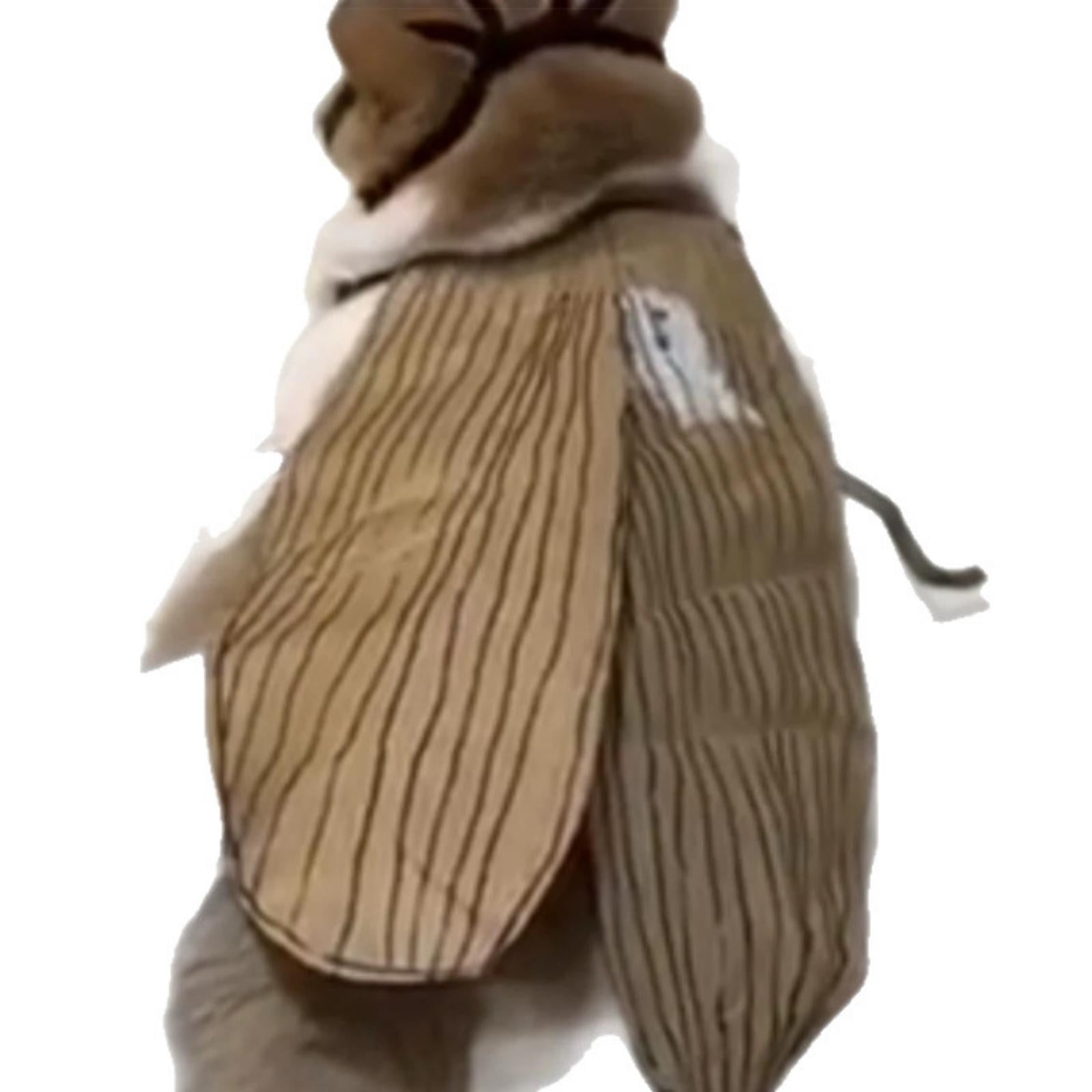 Funny Cat Cockroach Costume DIY Kit, Pet Halloween Outfit, Realistic ...