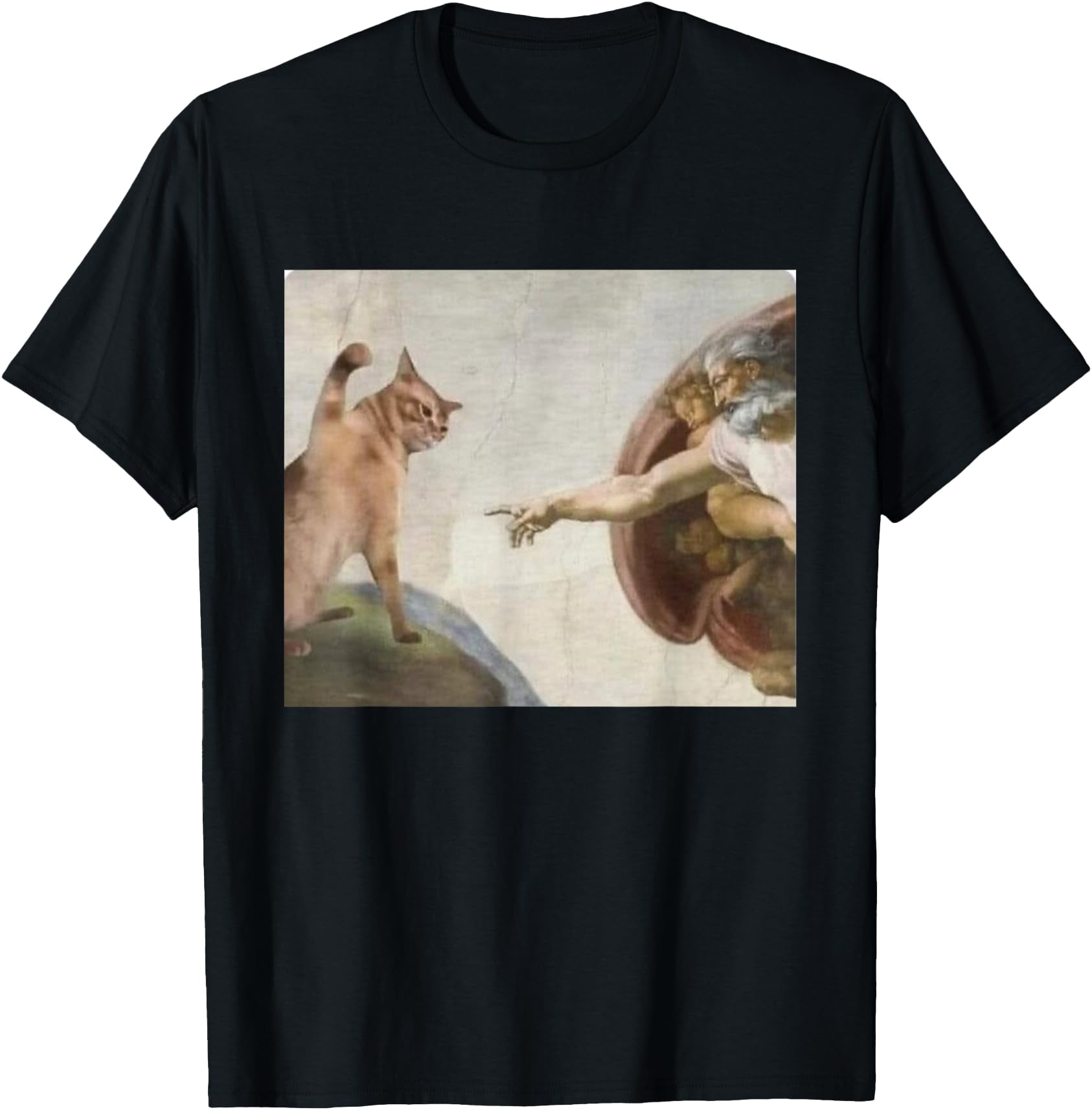 Funny Cat God Creation of Adam meme Michelangelo Jesus art Unisex T-Shirt for Men Women Kids ...
