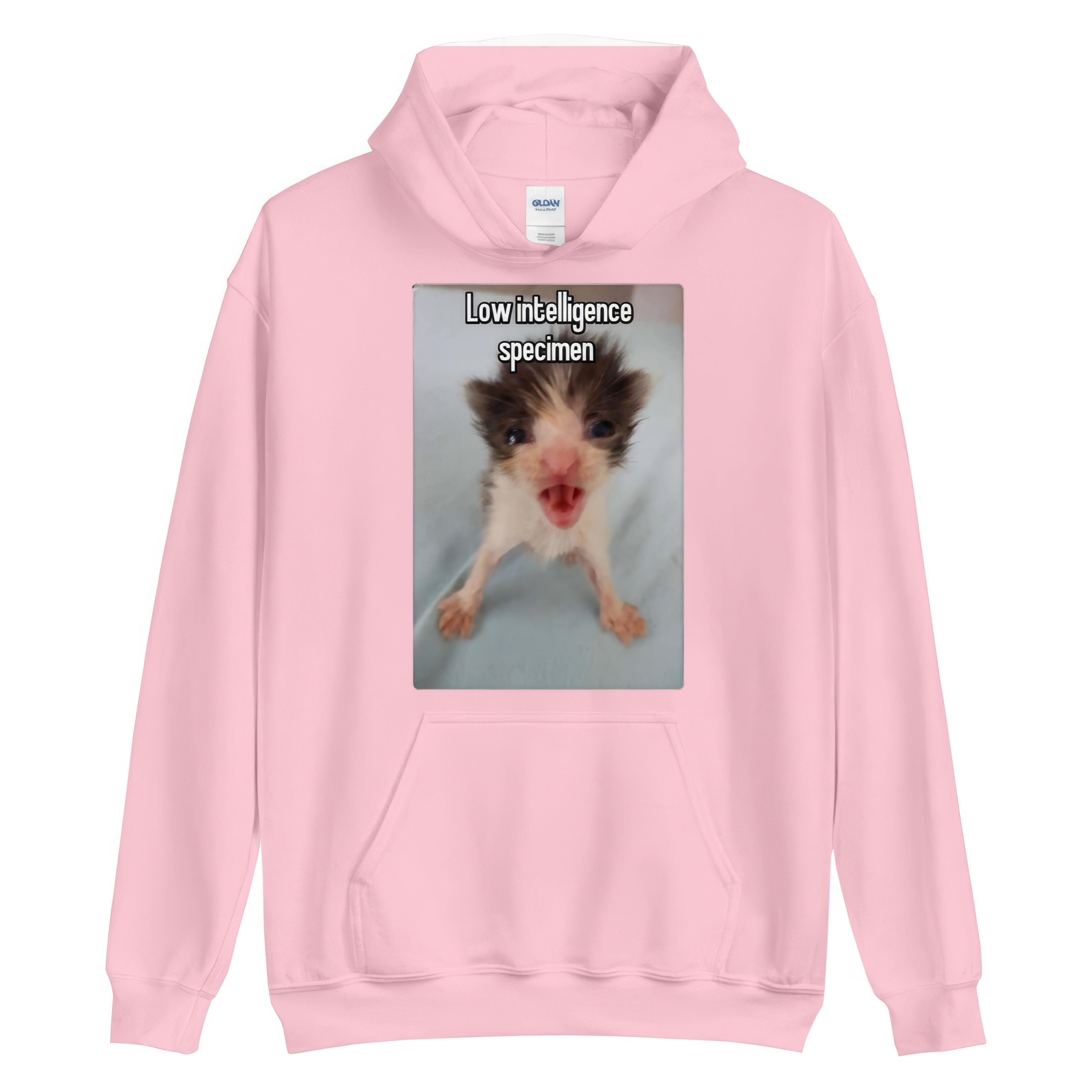 Funny Cat Meme Shirt, Humorous Low Intelligence Specimen Design for Cat ...