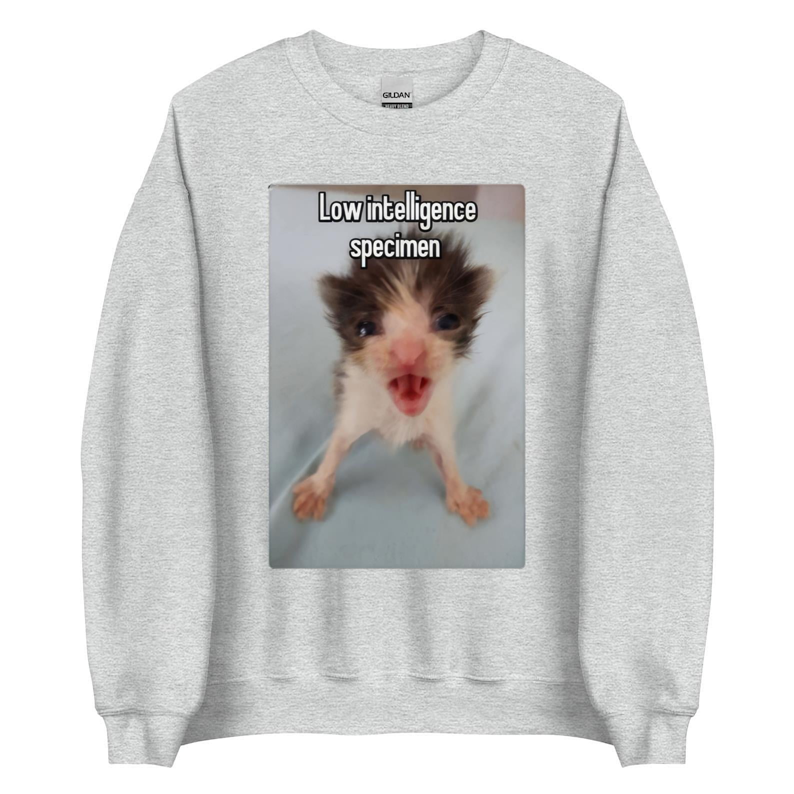 Funny Cat Meme Shirt, Humorous Low Intelligence Specimen Design for Cat ...