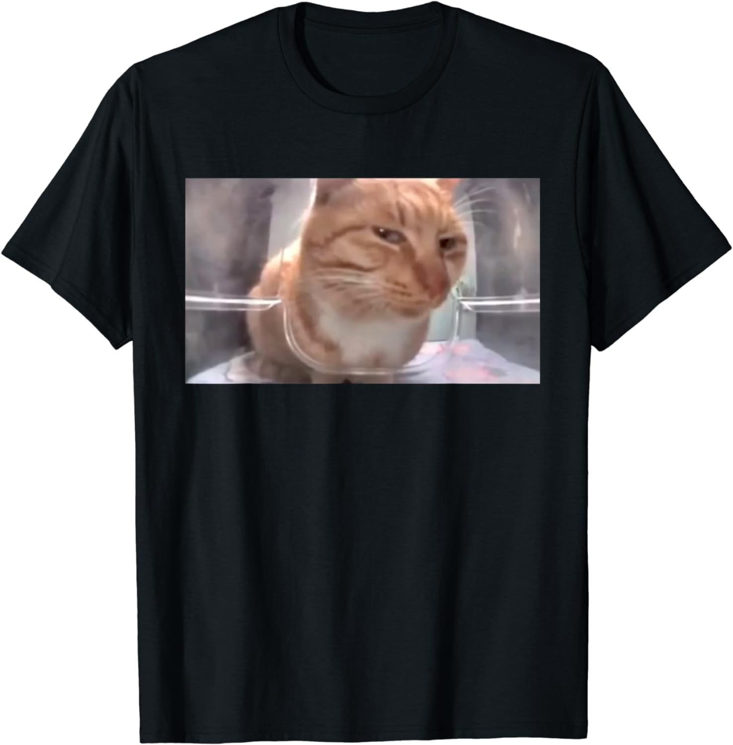 Funny Cat Meme Side Eye Eating Cat Mr Fresh Cat Trend T-Shirt - Walmart.com