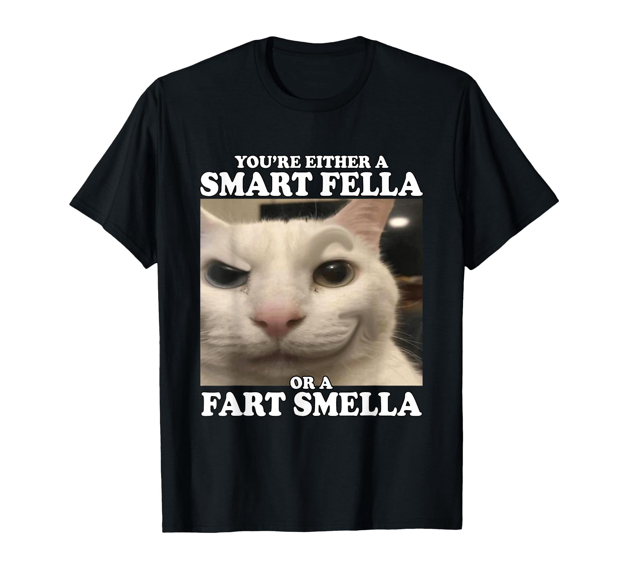 Funny Cat Meme T-Shirt - You're Either A Smart Fella Or A Fart Smella ...