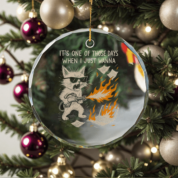 Funny Cat Sarcastic Graphic Office Coworker Ornament, Room Decoration ...