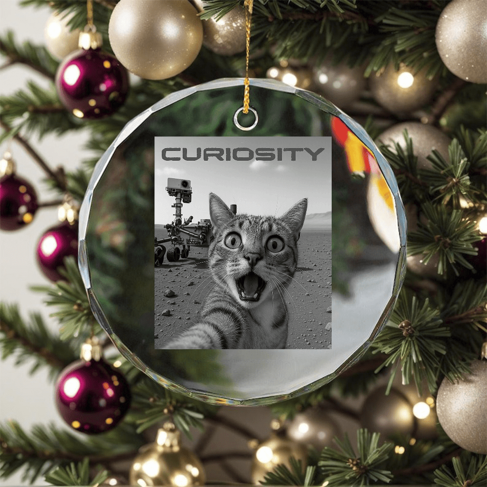 Funny Cat Selfie Meme on Mars Curiosity Pun for Space Lovers Ornament ...