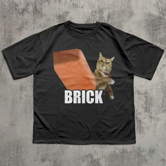 Funny Cat Throwing Brick T-shirt, Meme Shirt, Silly Cats Tee, Unhinged ...