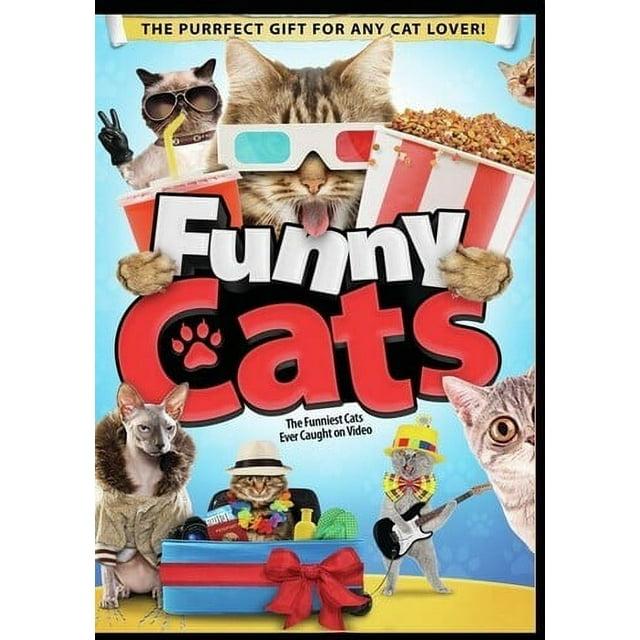Funny Cats (DVD), Wownow Entertainment, Comedy - Walmart.com