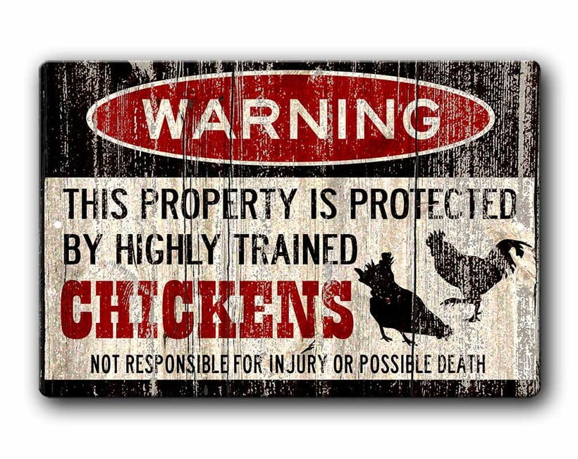 Funny Chicken Coop Sign, Funny Warning Sign for Chickens, Backyard ...