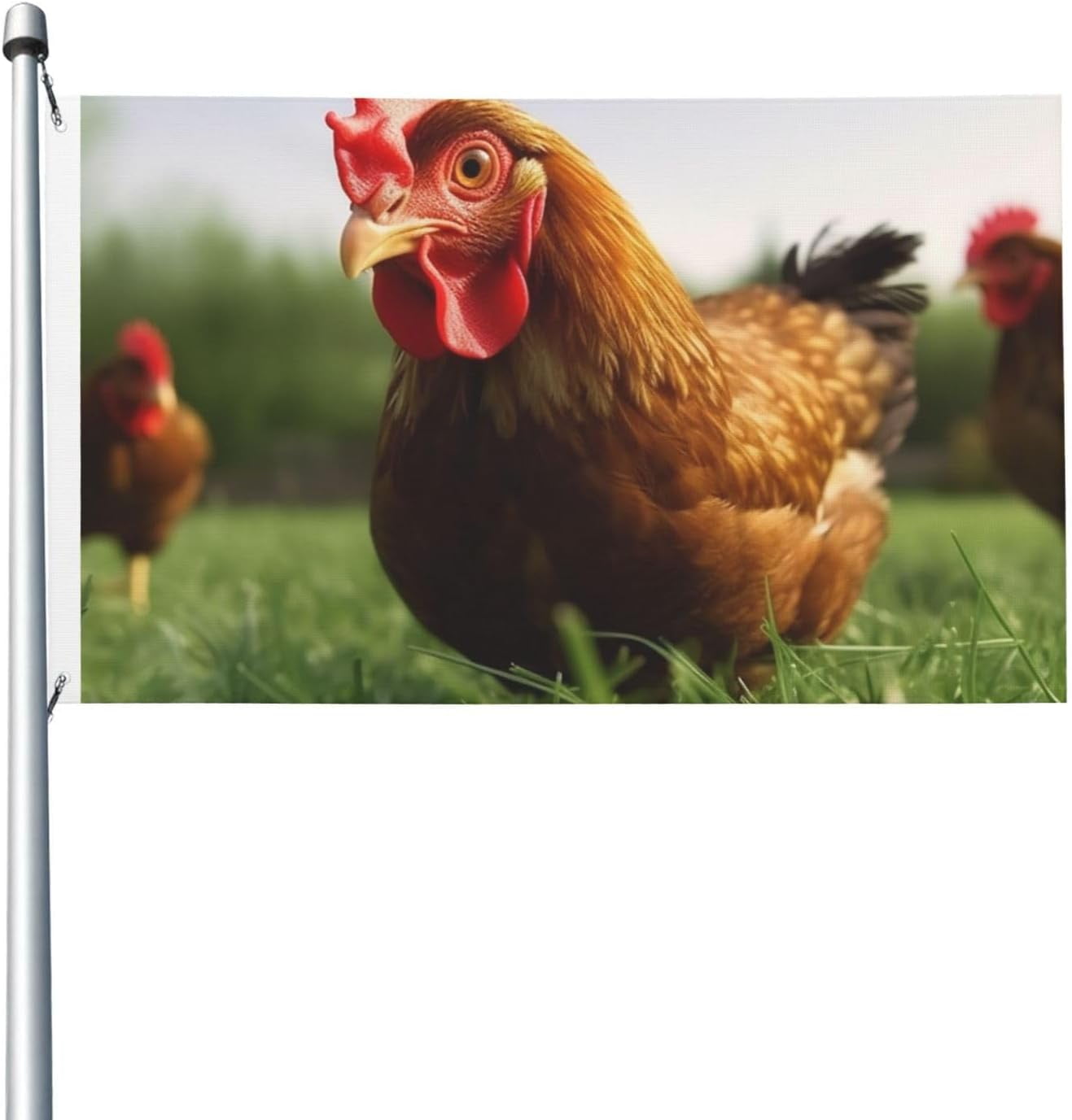Funny Chicken Green Grass Garden Flag Welcome Flags for Outside Holiday ...
