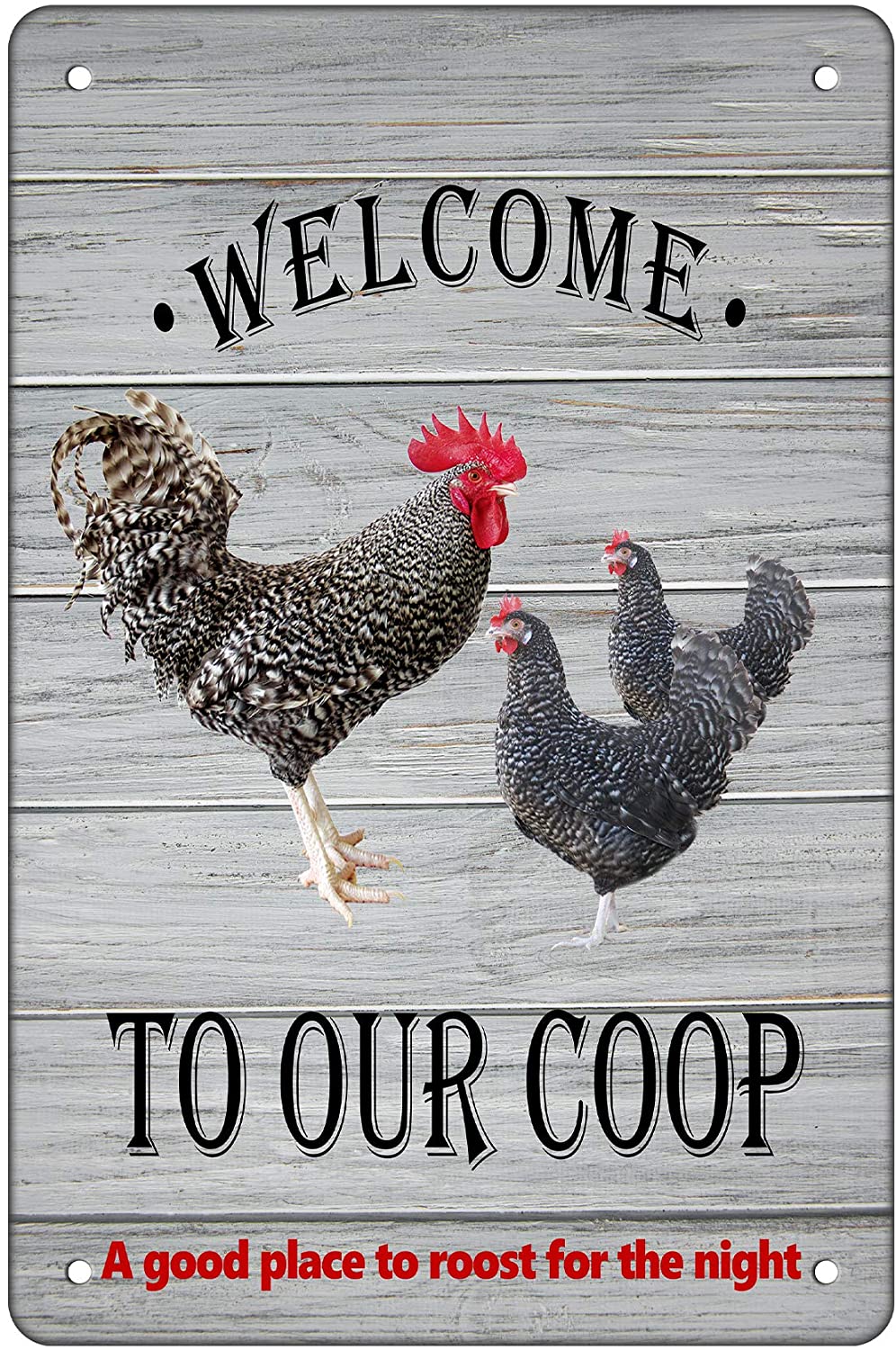 Welcome to Our Coop We are All Cluckin Crazy?Chicken?Coop?Decor?Retro ...