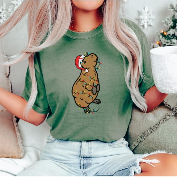 Funny Christmas Shirt, Christmas Light Shirt, Cute Christmas Shirt ...