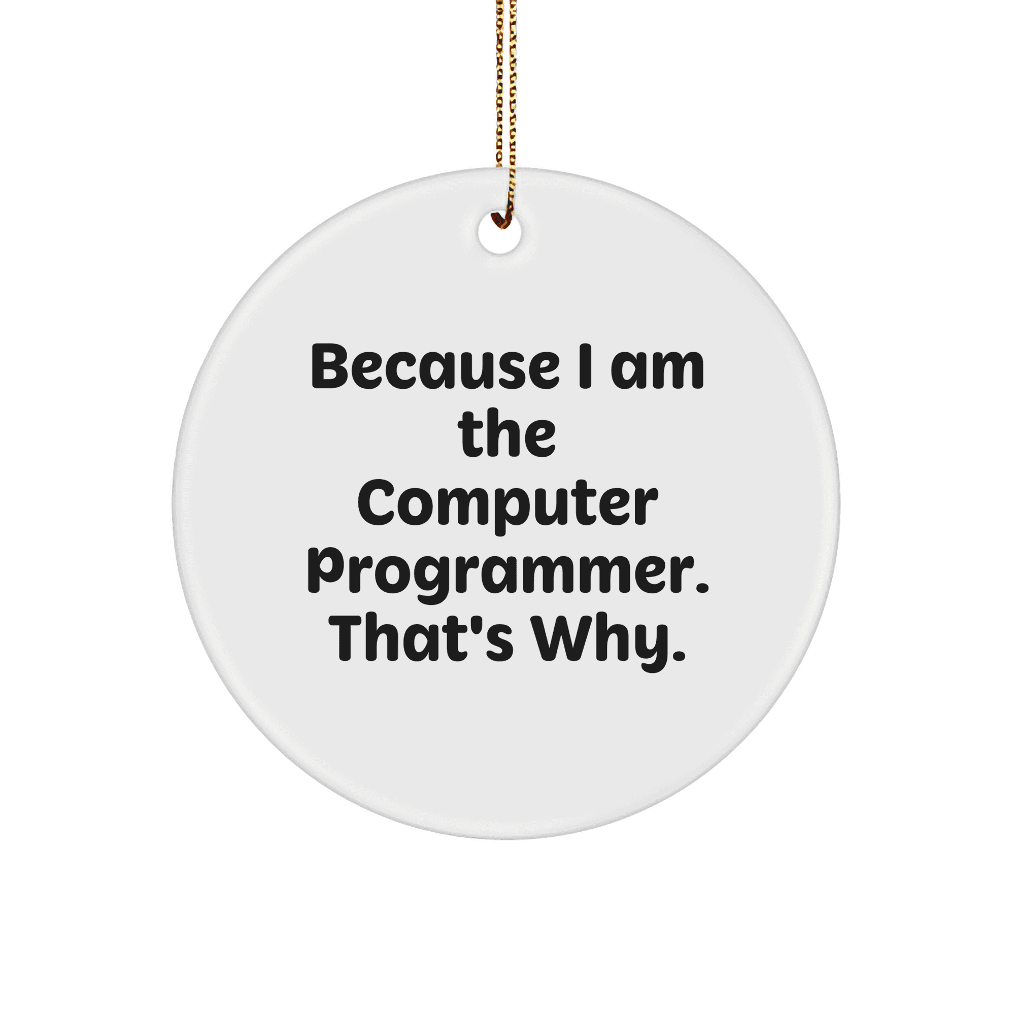 Funny Computer Programmer Gifts from Friends - Circle Ornament with ...