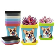 Avatar: The Last Airbender Appa Flying Bison Indoor Planter with Faux ...