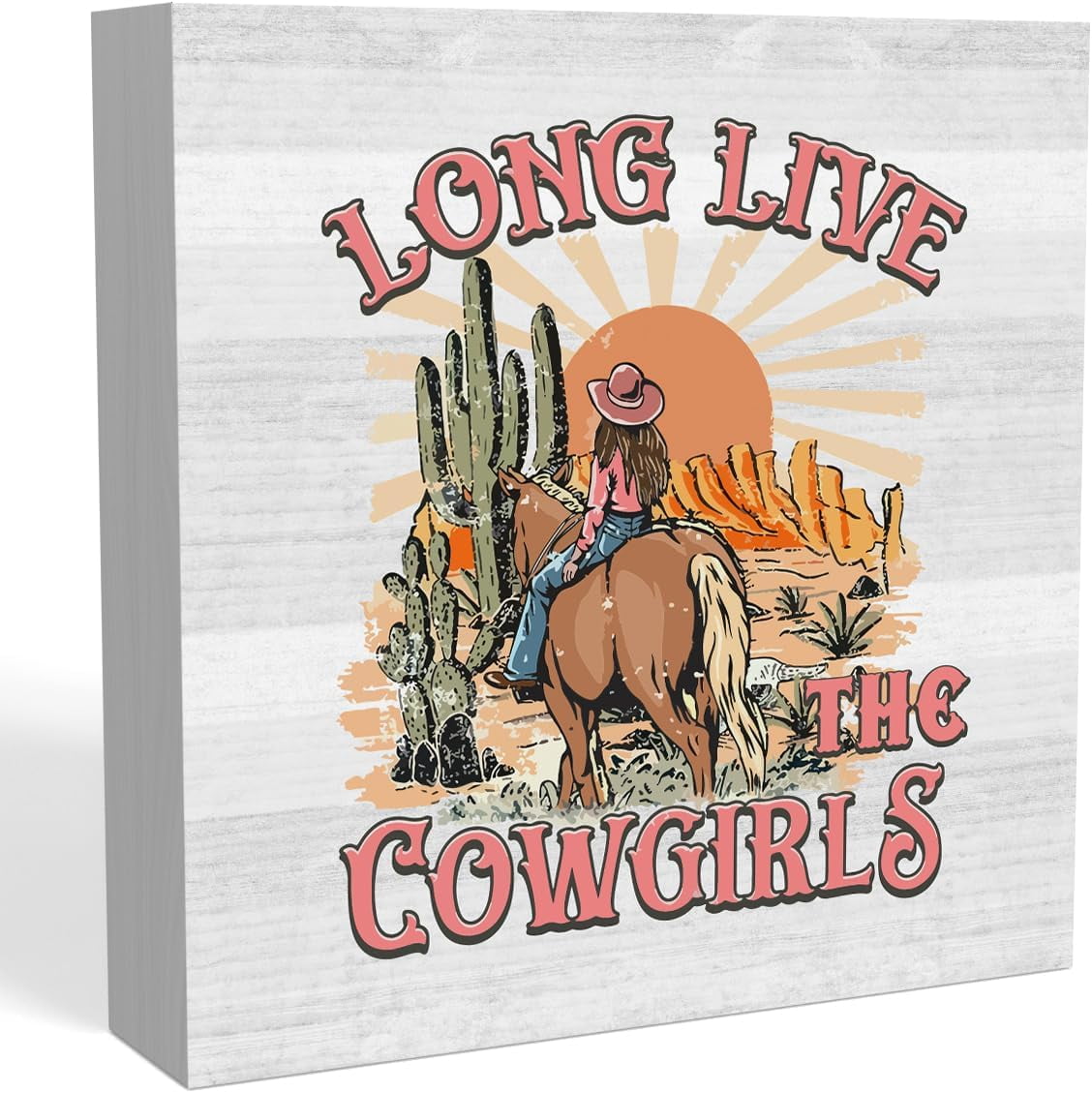 Funny Cowgirl Room Decor Rustic Farmhouse Home Office Desk Decor Wood ...