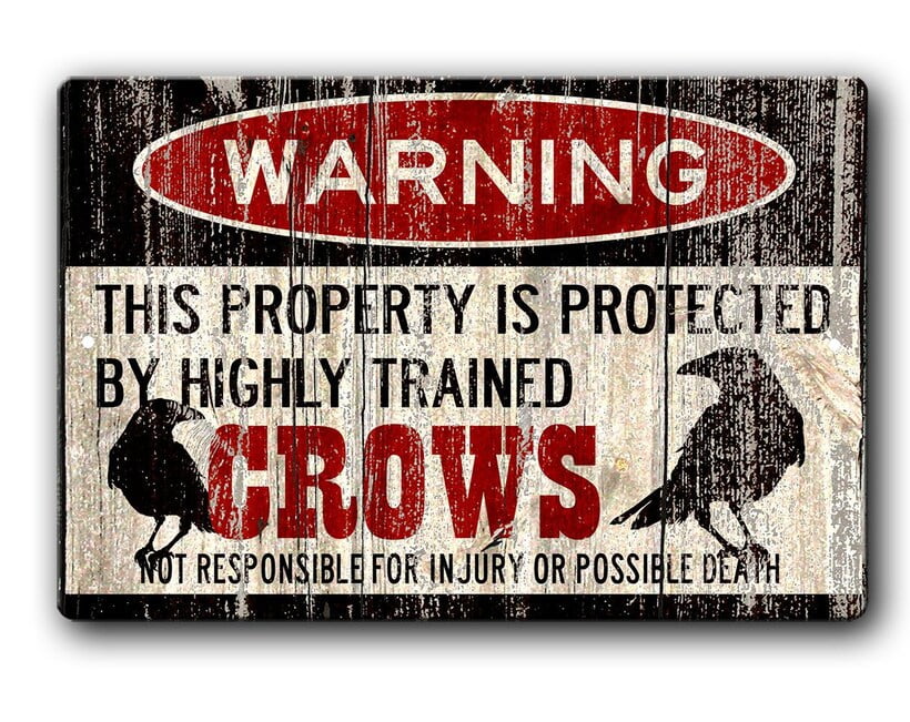 Funny Crow Sign,Funny Metal Signs,Crows warning,Funny metal yard sign ...