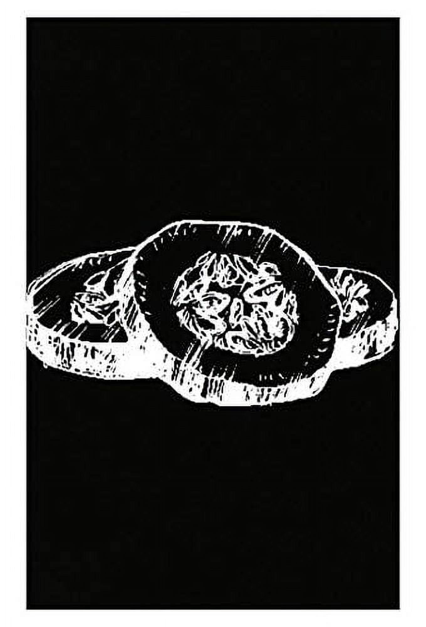 Funny Cucumber - Vegetable Slices - Green Veggie Produce Fruit Humor ...