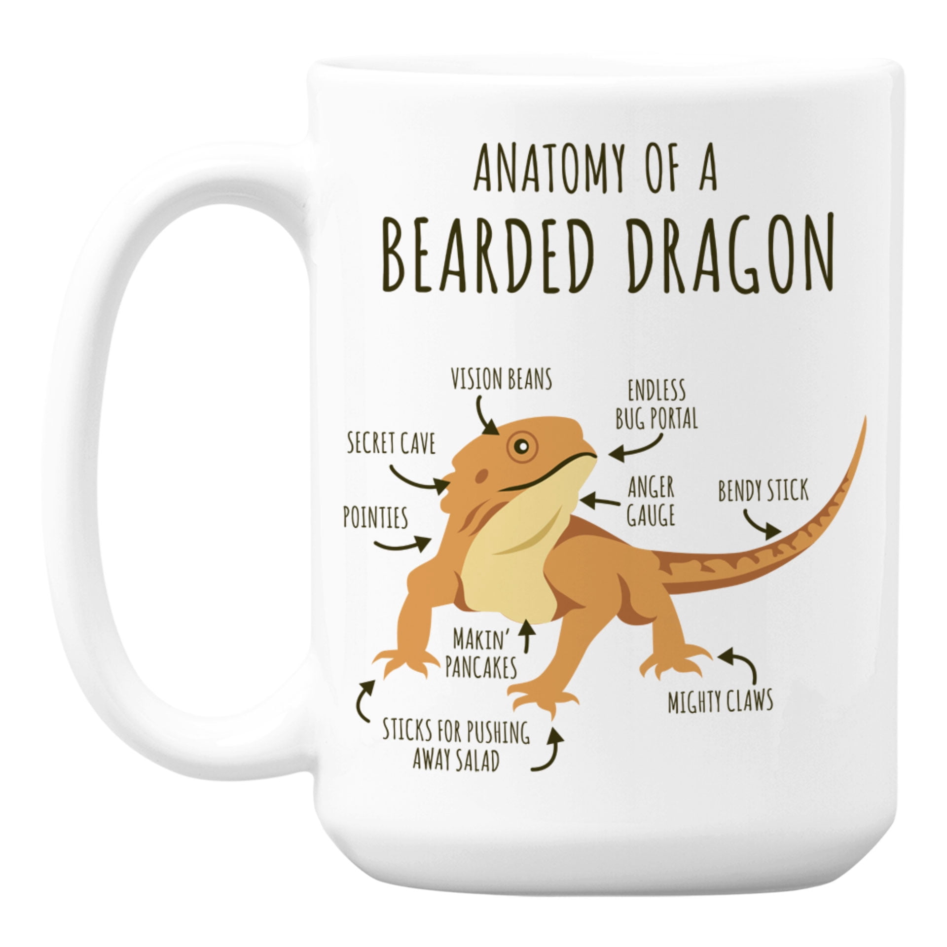 Anatomy Of A Bearded Dragon Anatomy Retailer Of A Bearded Dragon