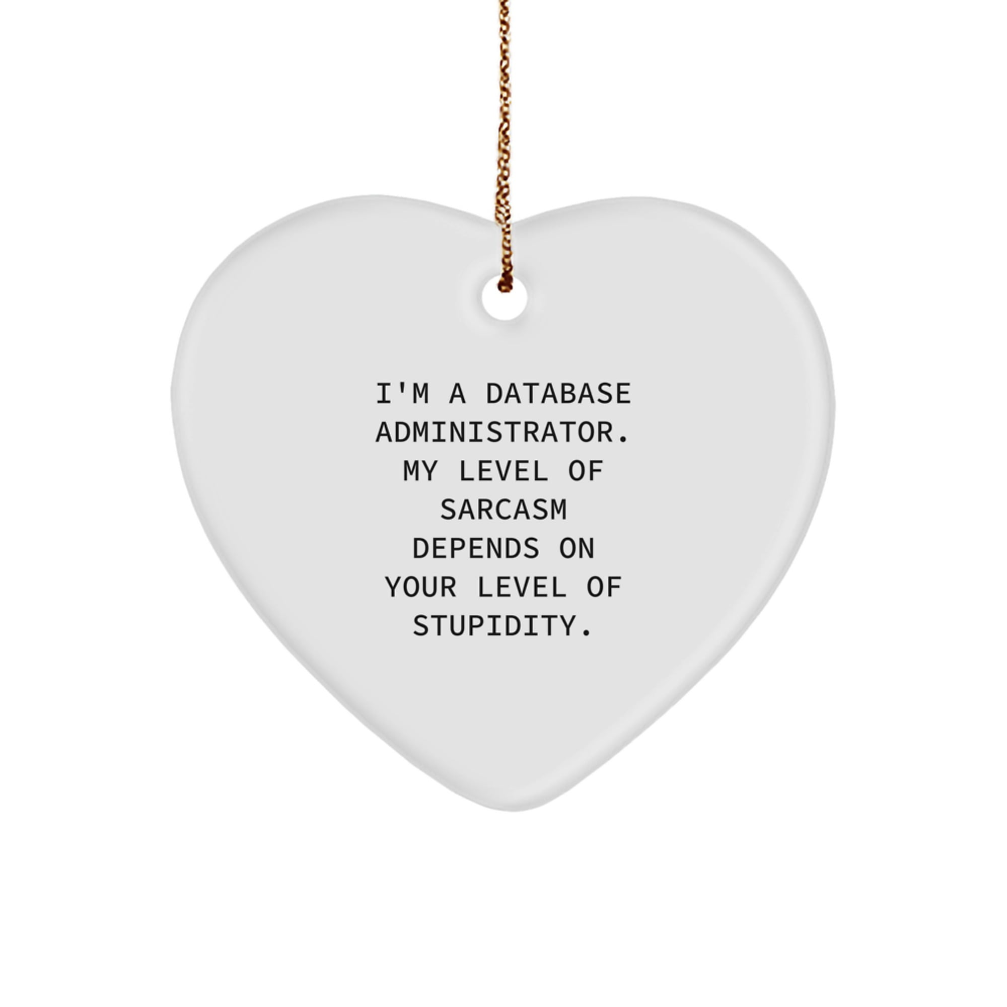 Funny Database Administrator Gifts, Heart Ornament with Sarcasm Quote ...