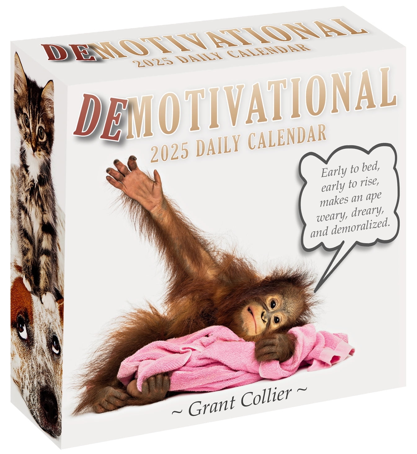 Funny Demotivational 2025 Daily Calendar - Walmart.com