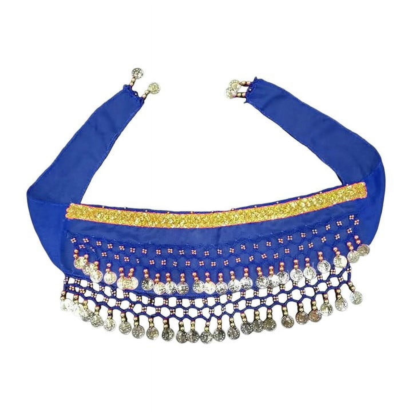 Funny Dog Belly Dancer with Sequin Scarf, Skirt Outfit for Small Medium ...