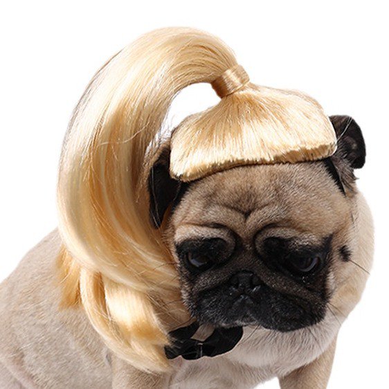 Cat Wigs