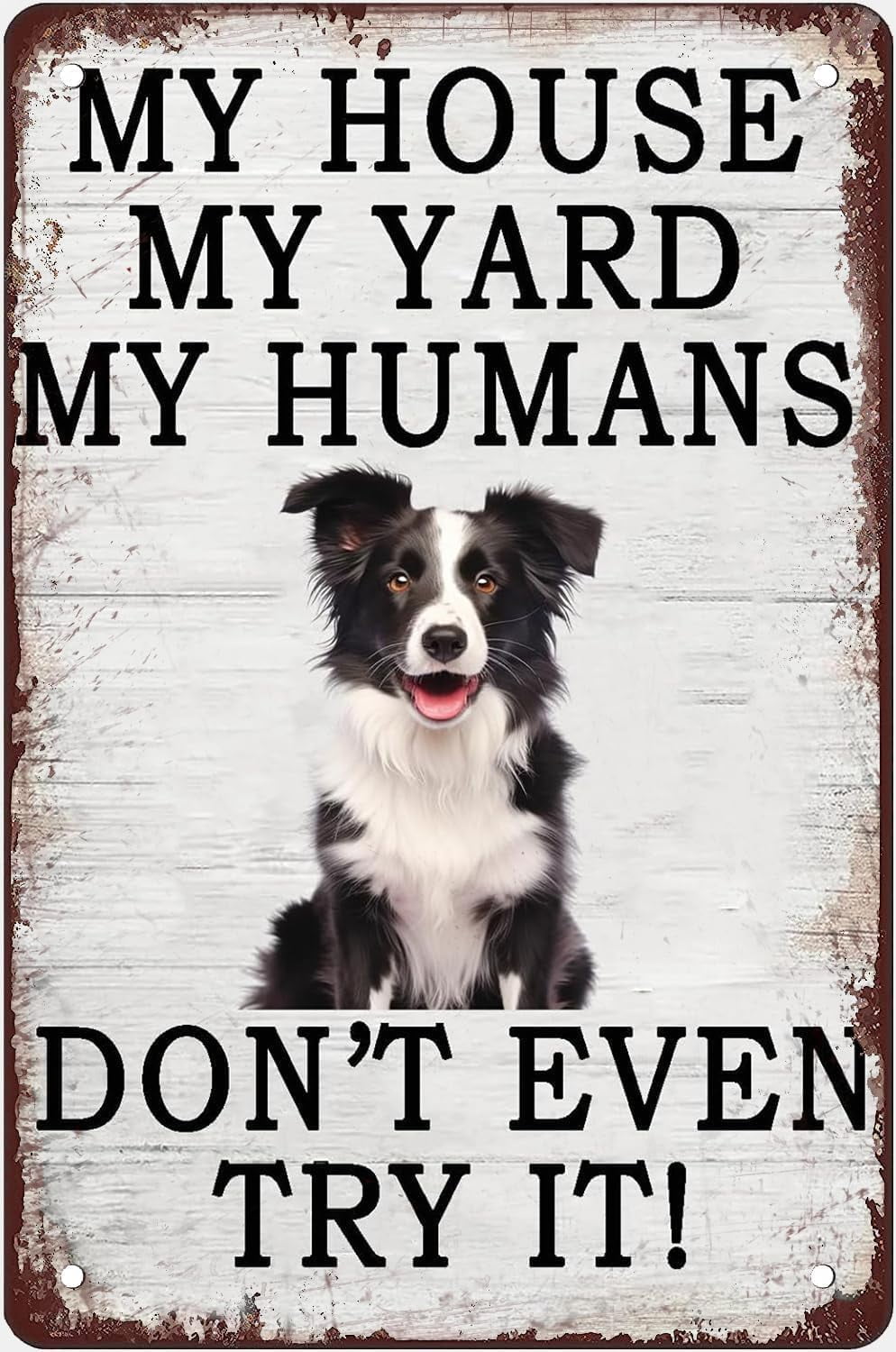 Funny Dog Tin Signs My House My Yard My Humans Don't Even Try It Retro ...