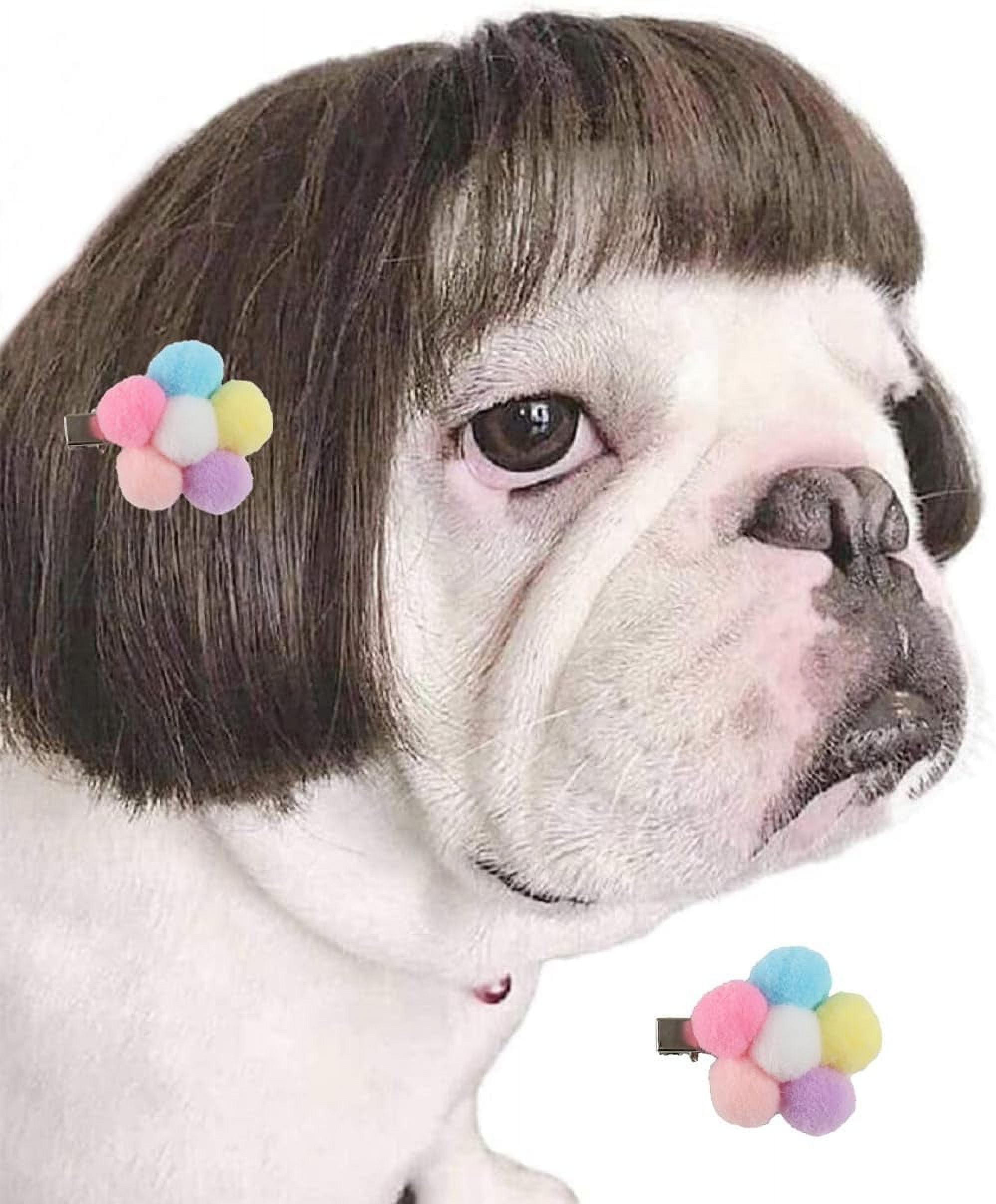 Funny Dog Wig for Small Medium Large Dogs with Free Head Flower ...