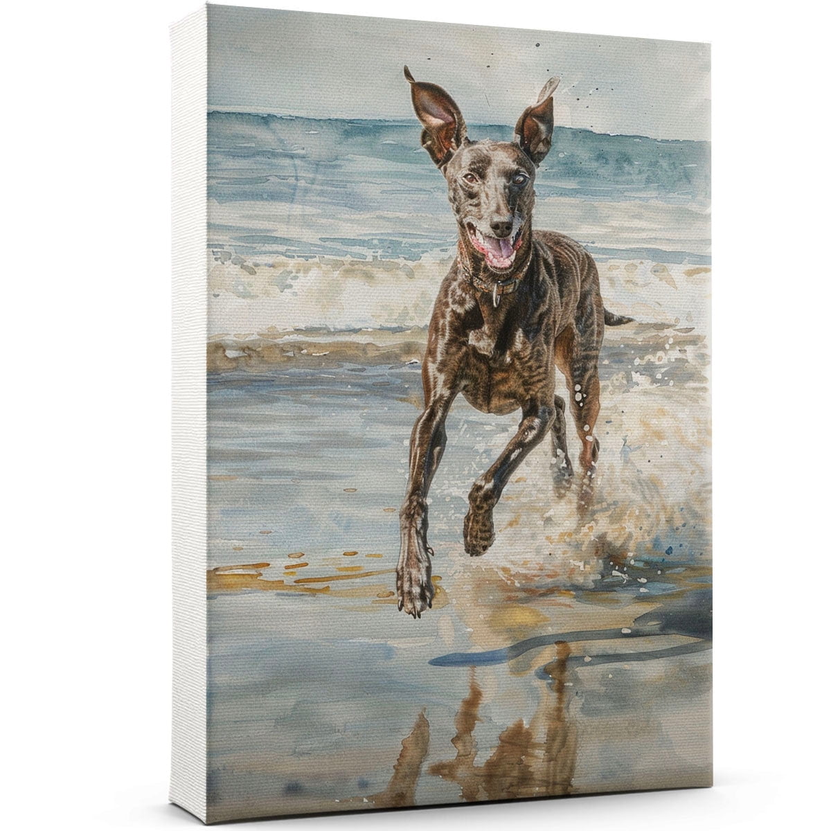 Funny Dog on Beach Canvas Wall Art, Xoloitzcuintli Dog Picture Ocean ...