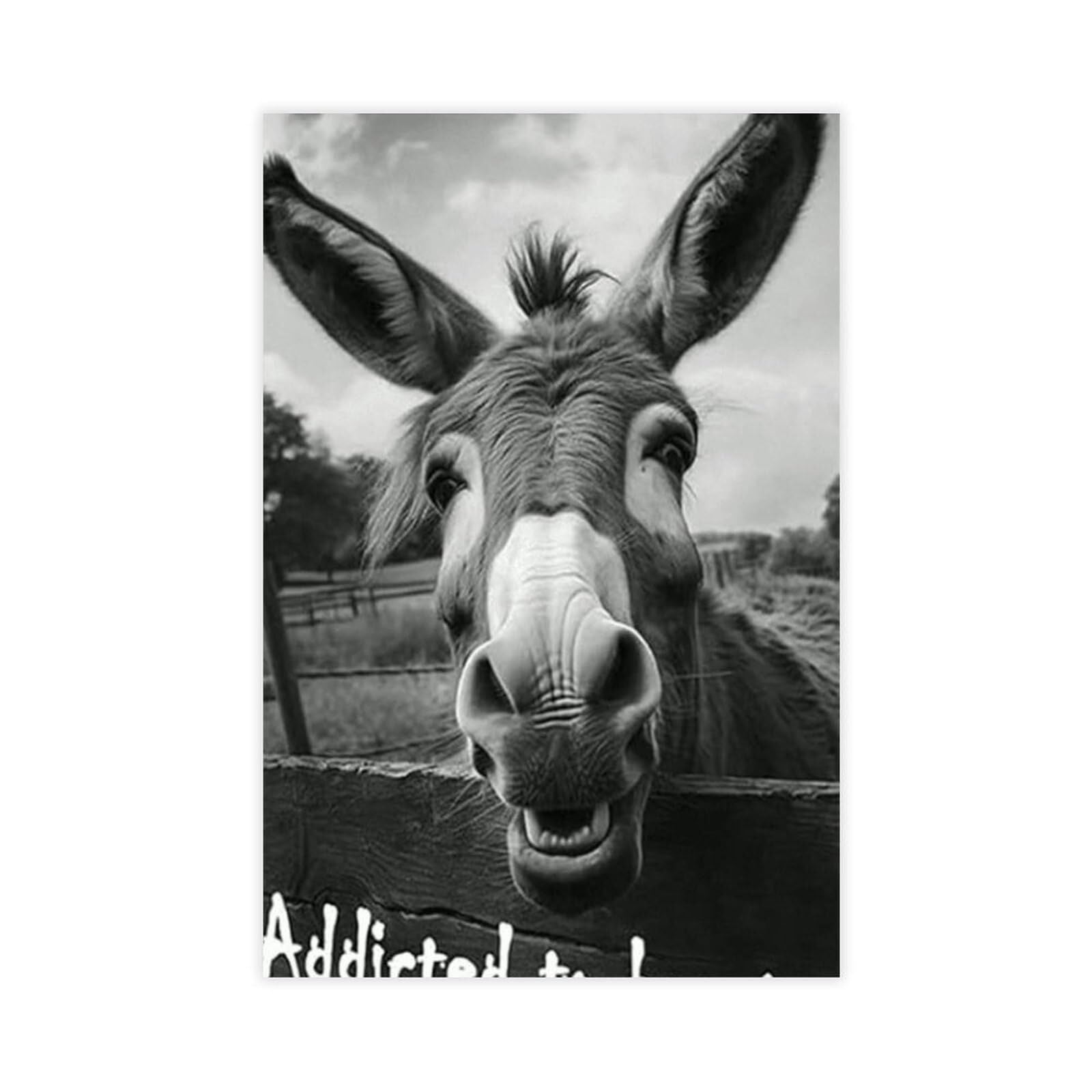 Funny Donkey - Obsessed With Beauty - Animal Fun Poster Decorative ...
