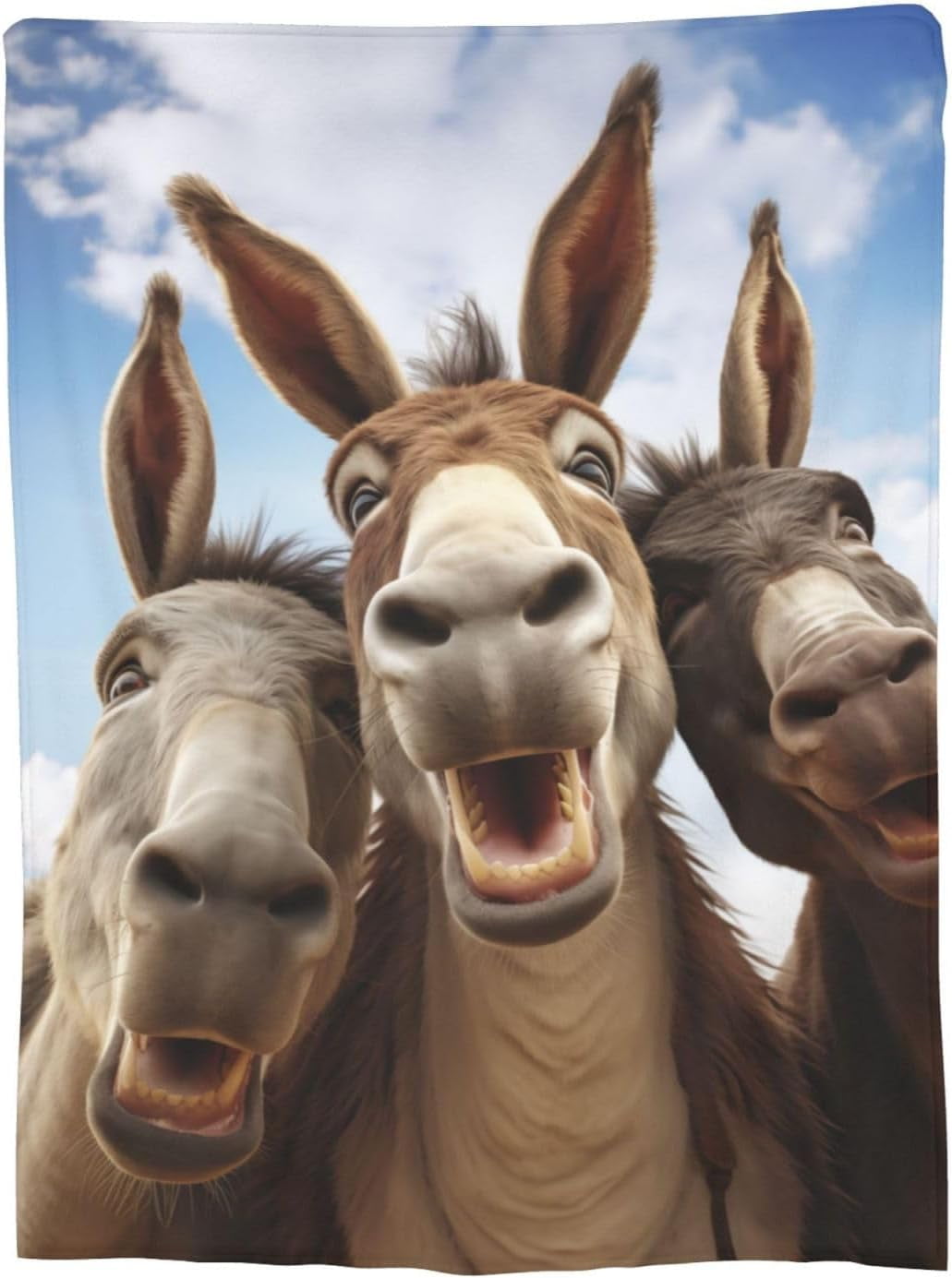 Funny Donkey Throw Blanket Cute Animal Donkey Gifts Blanket for Kids ...