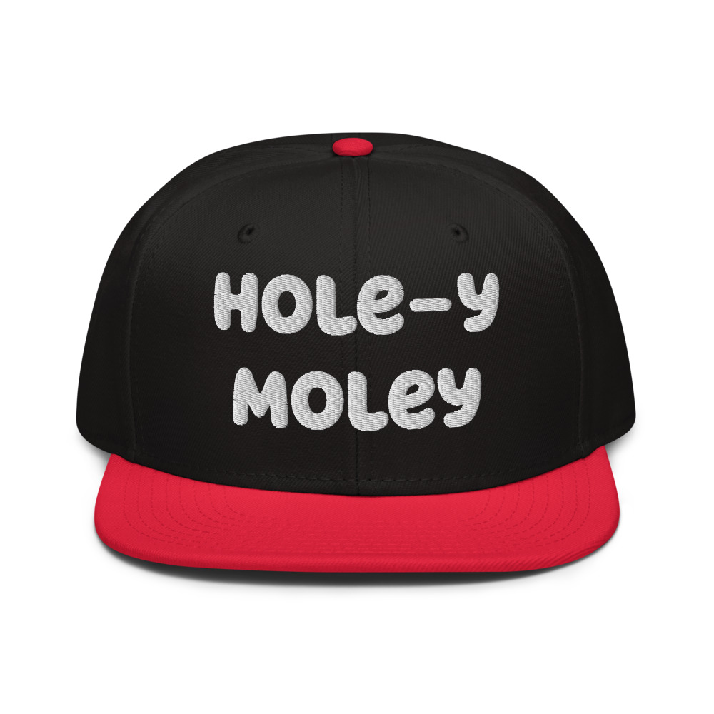 Funny Donut Pun Snapback Hat, Hole-y Moley Embroidery (Red / Black ...