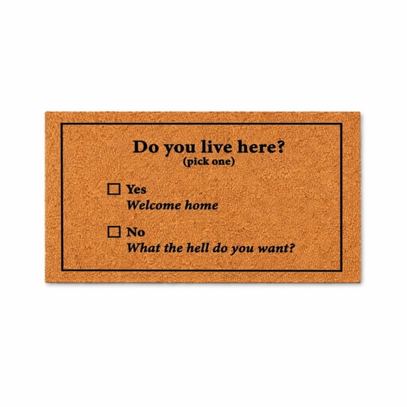 Do You Live Here Pick One Doormat, Welcome Home Entryway Mat (36x60 ...