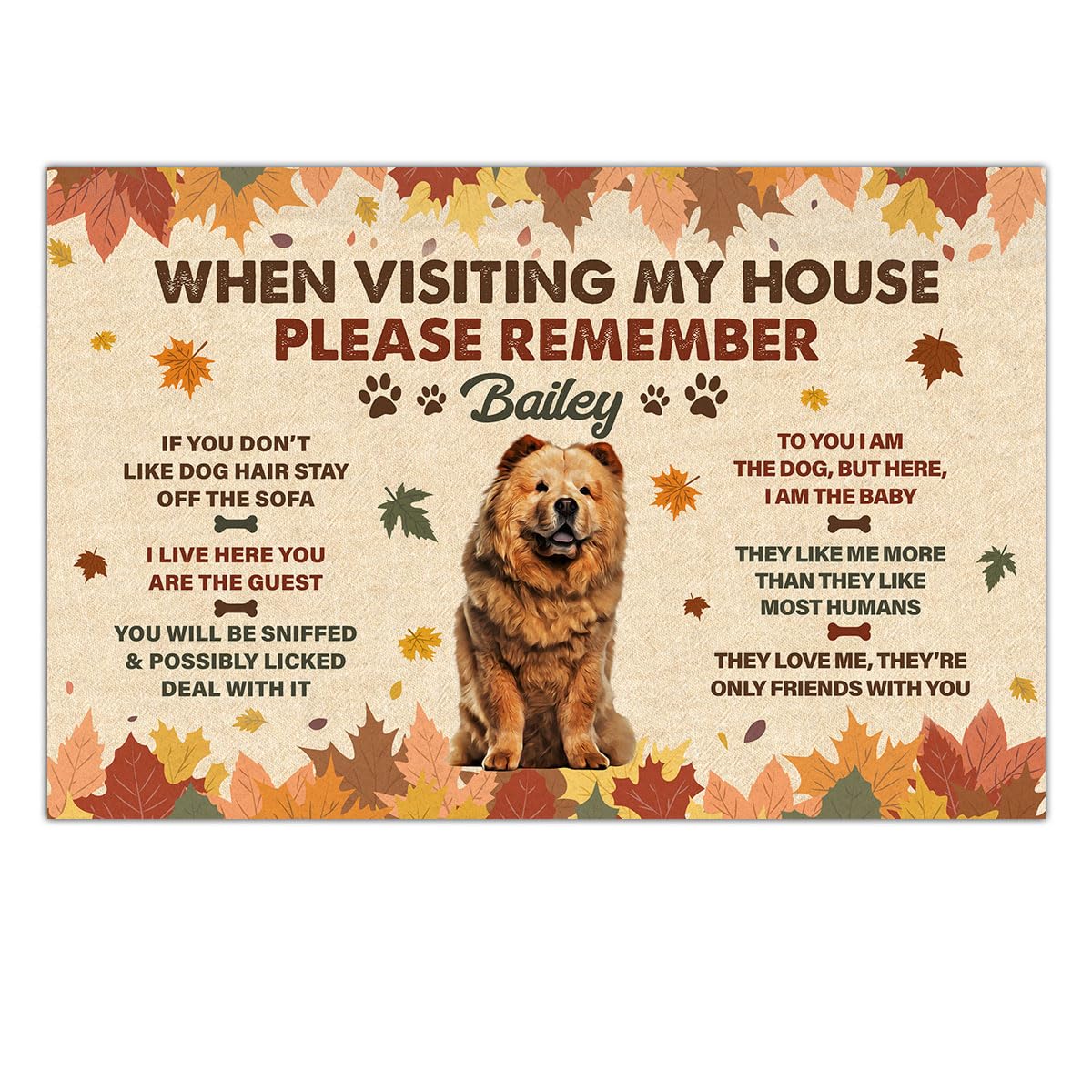 Funny Doormat Gift for Chow Chow Owners from Family Friends I Live Here ...