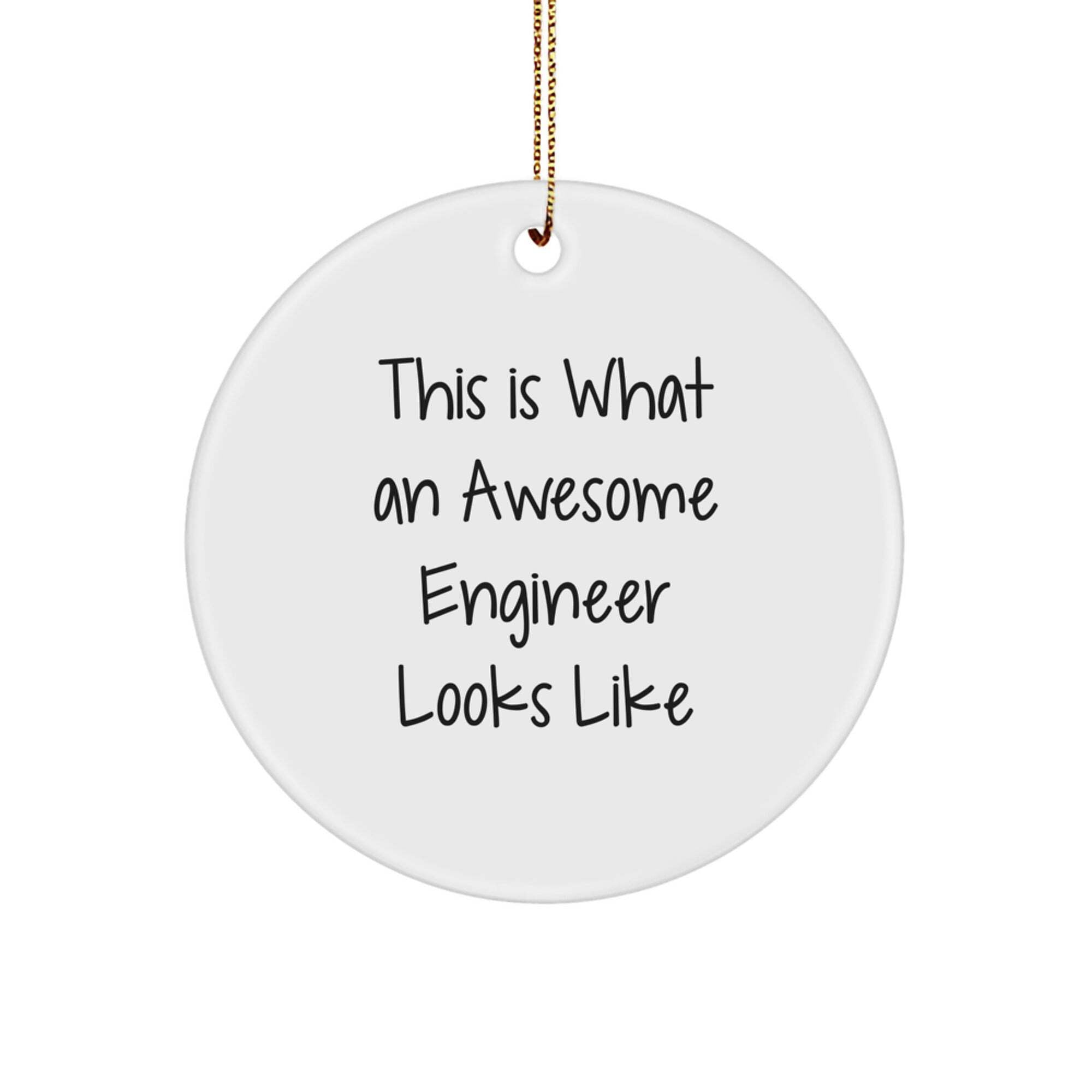 Funny Engineer Gifts for Christmas - Circle Ornament with 'This Is What ...