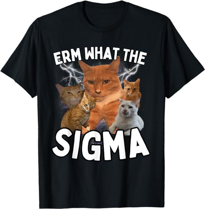 Funny Erm What The Sigma ? Ironic Meme Brainrot Quote T-Shirt, Size S-5XL - Walmart.com