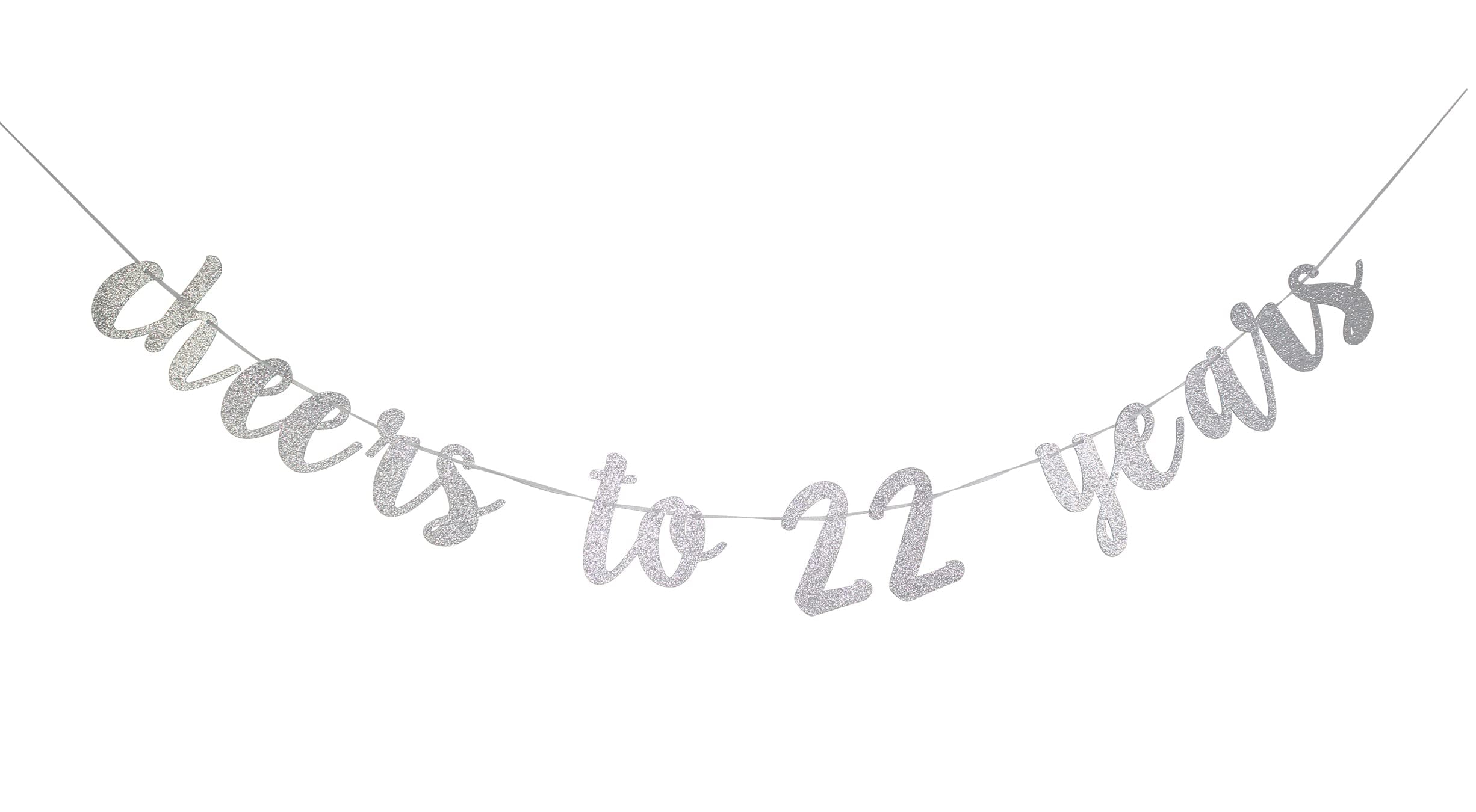 Funny Fabulous 22nd Birthday Banner Decorations - Cheers to 22 Years ...