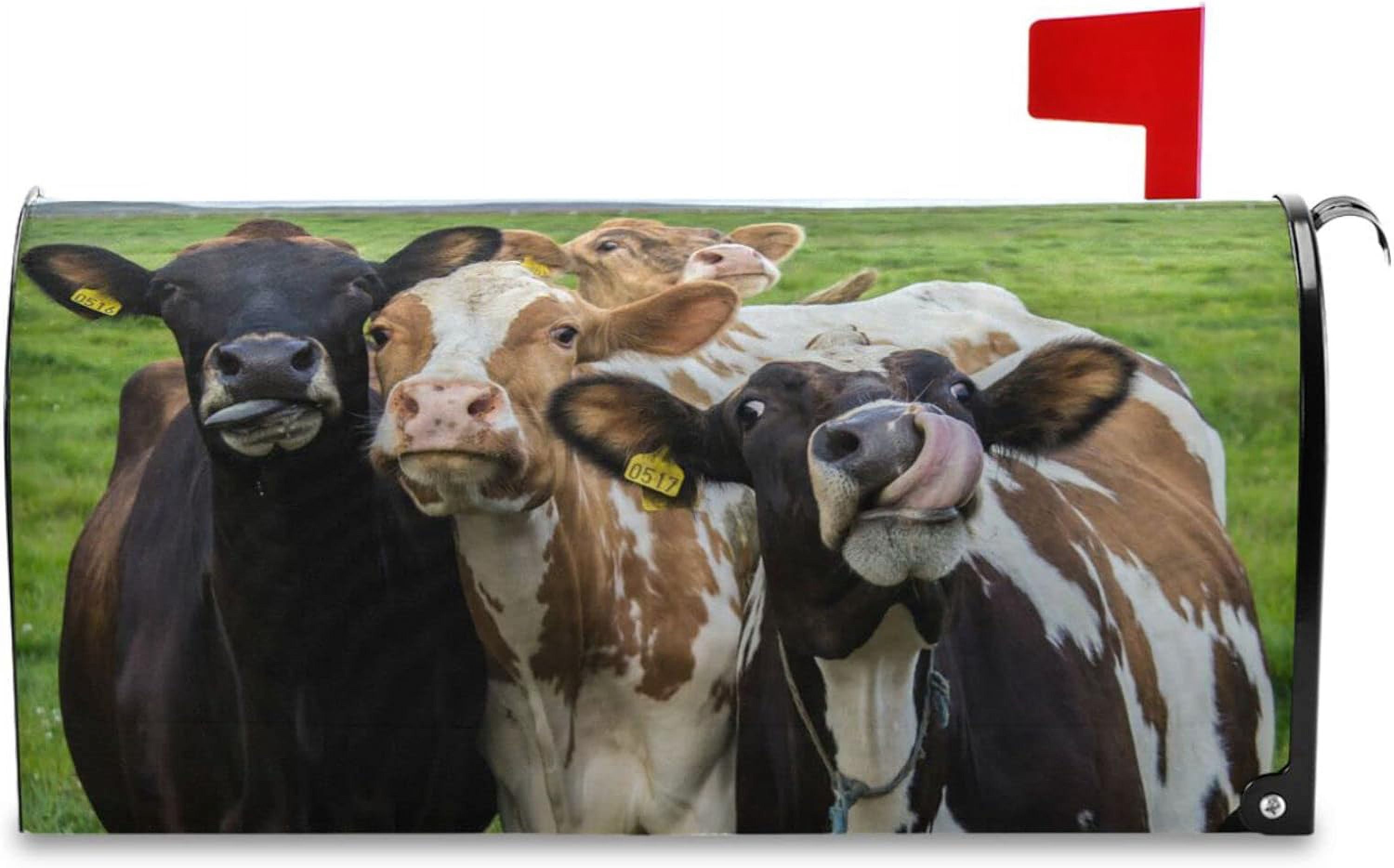 Funny Farmhouse Cows Mailbox Covers Magnetic Grassland Animals Mailbox ...