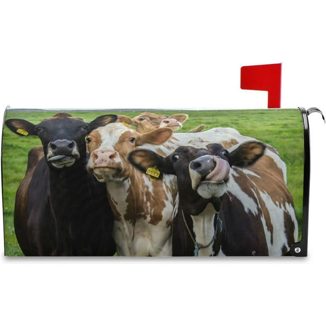 Funny Farmhouse Cows Mailbox Covers Magnetic Grassland Animals Mailbox ...