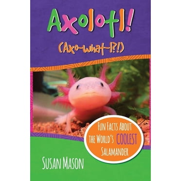 Aristotle the Axolotl (Paperback) - Walmart.com